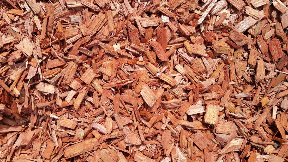 What Color Mulch Looks Best: Searching for the Right Option